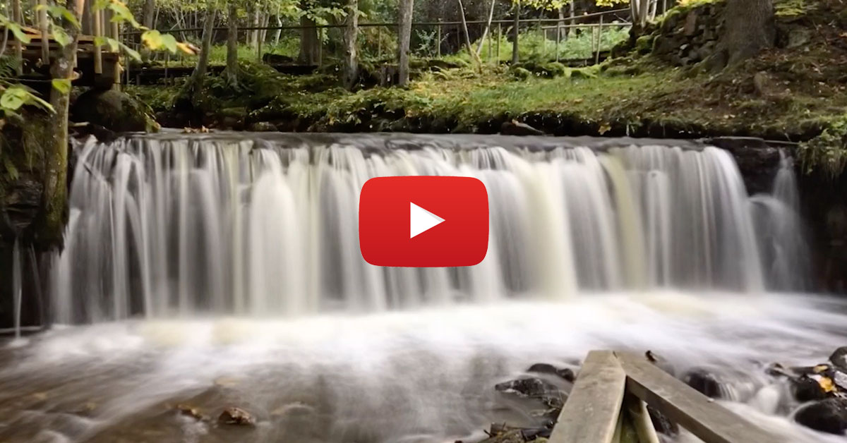 5 Ways To Improve Your iPhone Photography With Live Photos