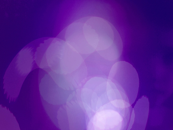 How To Create A Live Photos Long Exposure With Your iPhone