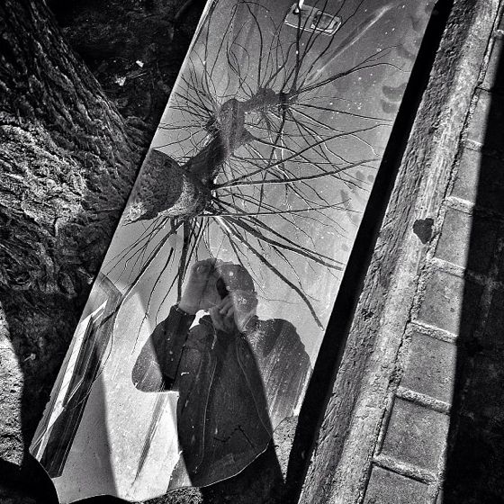 iPhone Photo Contest Winners IX